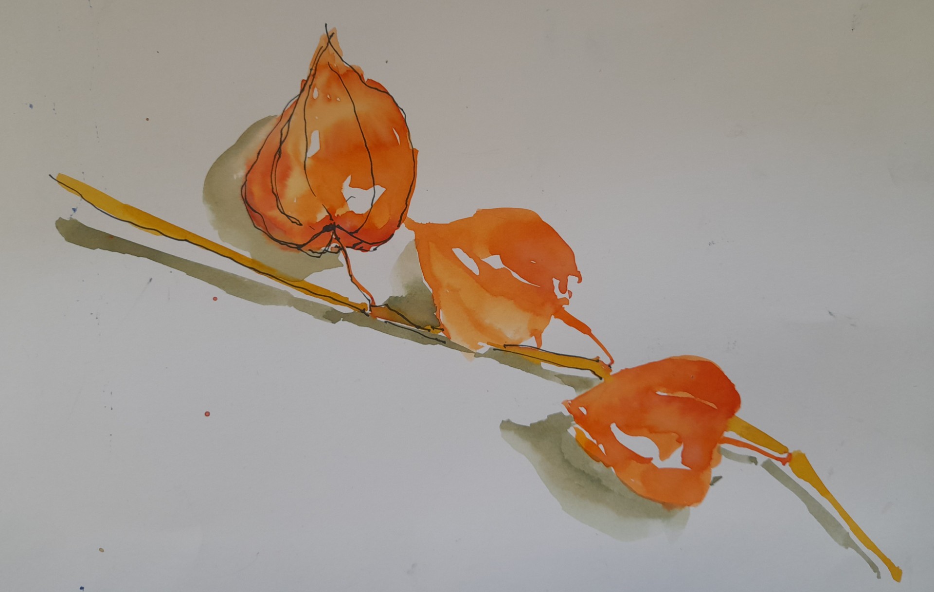 Short course in drawing and painting with Helen Antill – Ludlow ...